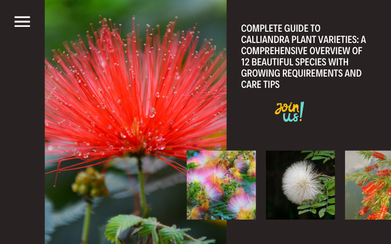 Complete Guide to Calliandra Plant Varieties: A Comprehensive Overview ...