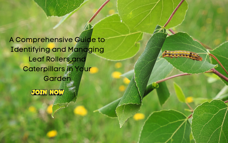 A Comprehensive Guide to Identifying and Managing Leaf Rollers and Cat — Mahindra Nursery