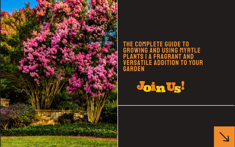 The Complete Guide to Growing and Using Myrtle Plants | A Fragrant and ...