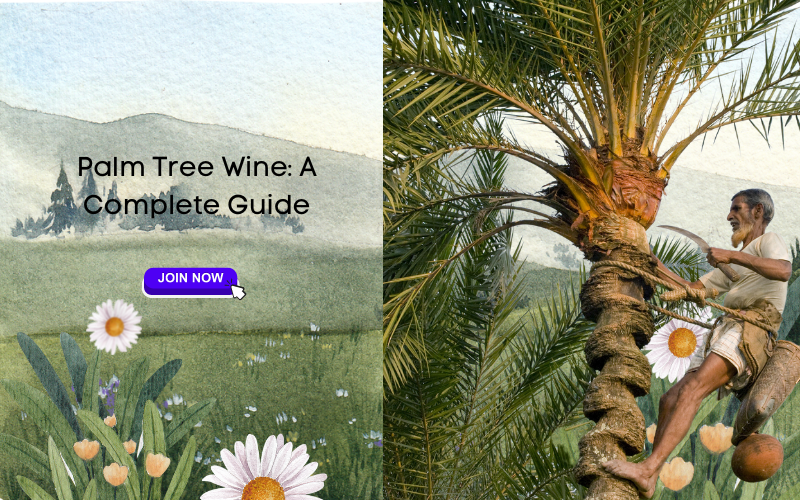 Palm Tree Wine: A Complete Guide — Mahindra Nursery
