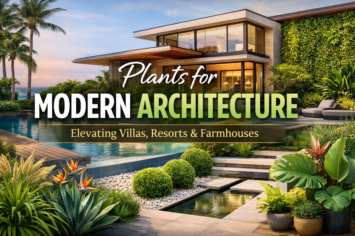 Plants for Modern Architecture | Elevating Villas, Resorts, and Farmho ...