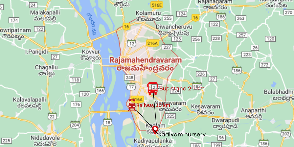 Navigating Nature's Path: The Distance from Rajahmundry to Kadiyam Nur ...