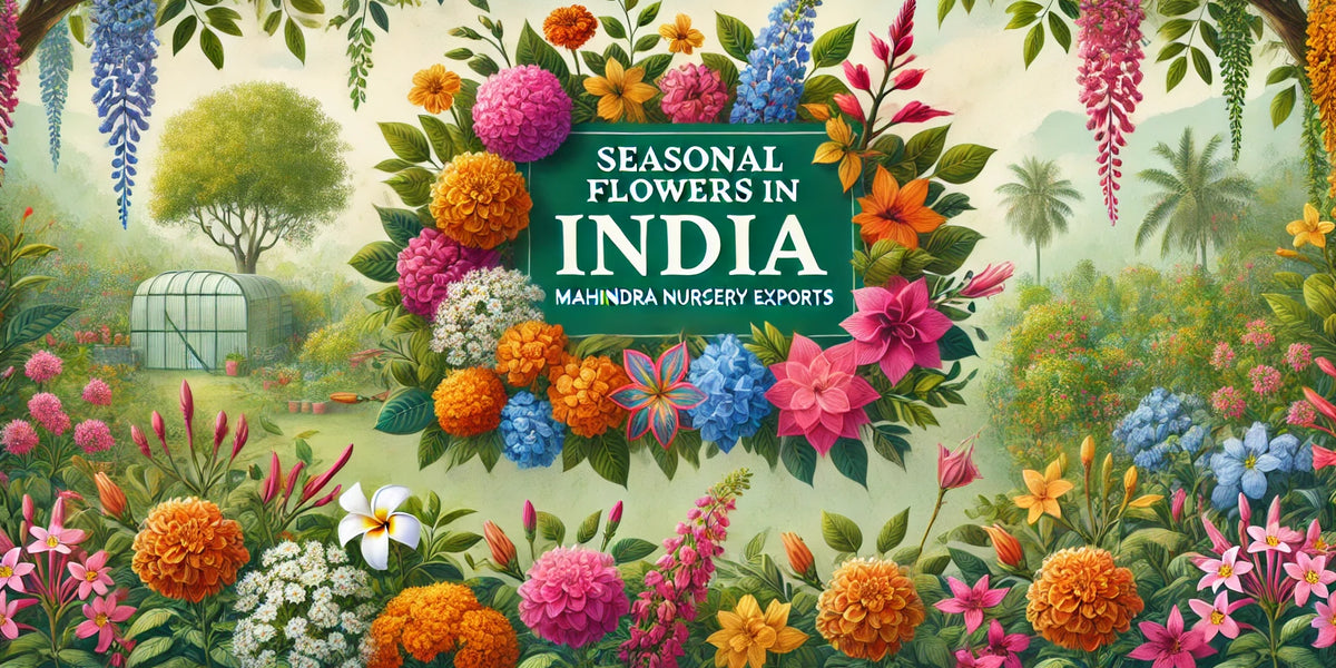 Seasonal Flowers in India 🌸 | Year-Round Guide to Beautiful Blooms by ...