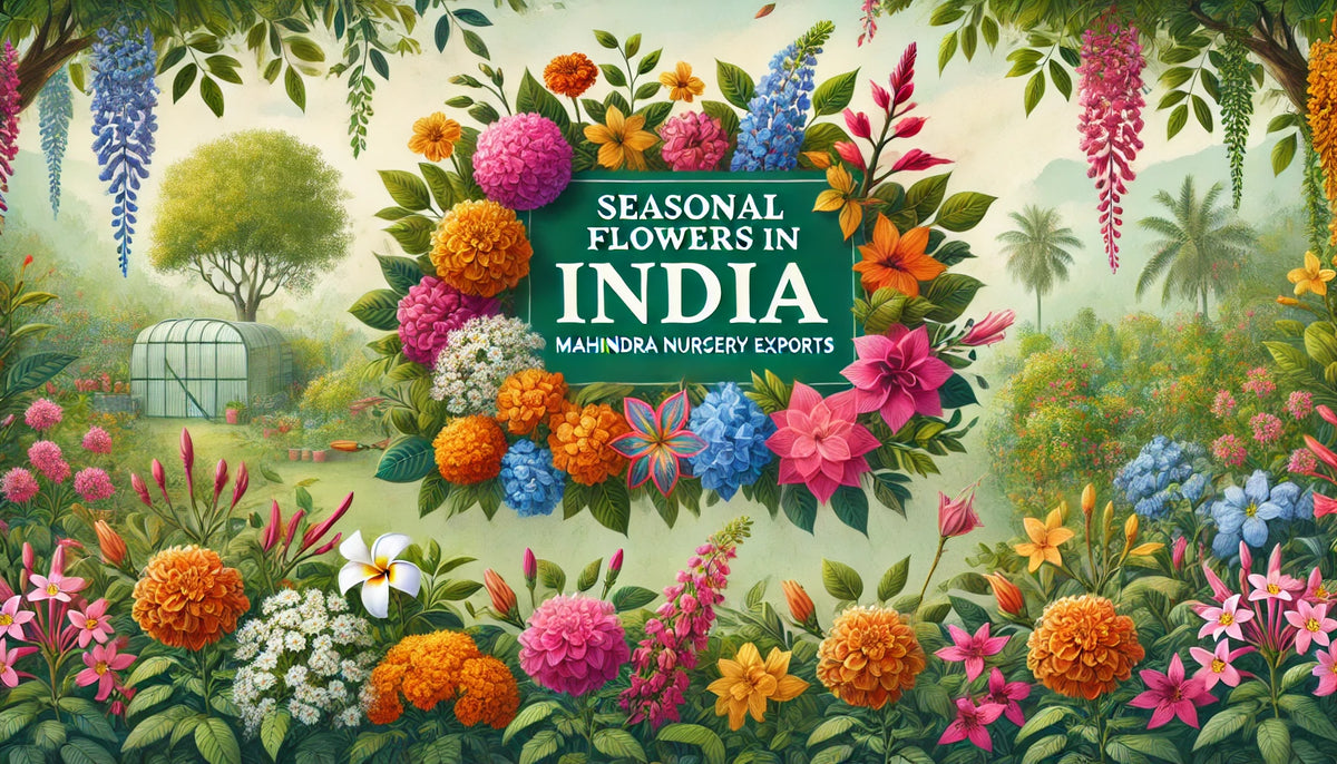 Seasonal Flowers in India 🌸 | Year-Round Guide to Beautiful Blooms by ...