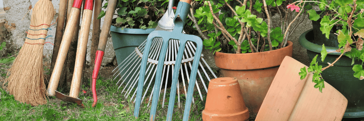 🌸 The Ultimate Garden Maintenance Checklist for Every Season 🏡 ...