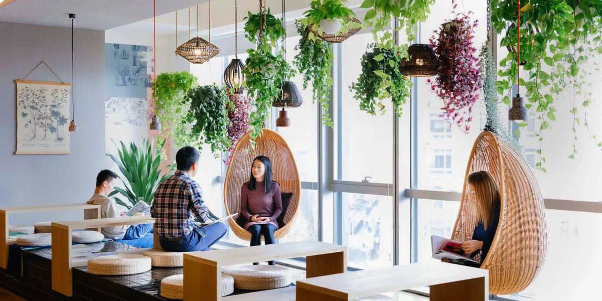 Indoor Greenery Still Going Strong as a Lifestyle Design Trend ...