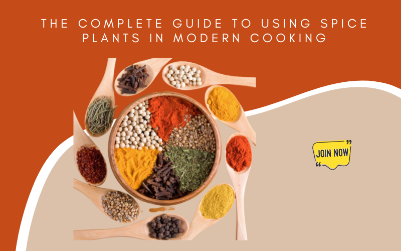The Complete Guide to Using Spice Plants in Modern Cooking — Mahindra ...
