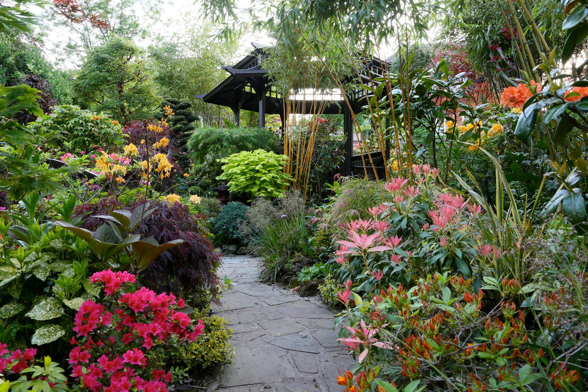 The Complete Guide to Choosing the Best Plants for Your Home Garden ...