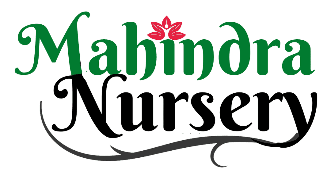 Java Apple Plant - The Complete Guide to Growing Your Personal Apple T ...