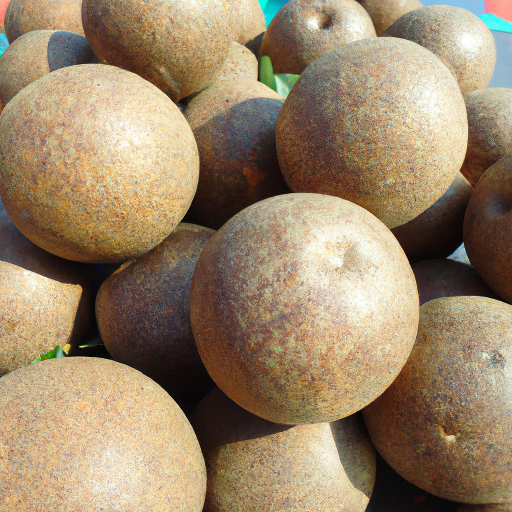 Discover the Sweet and Sour Delight of Feronia Limonia Wood Apple Plan ...